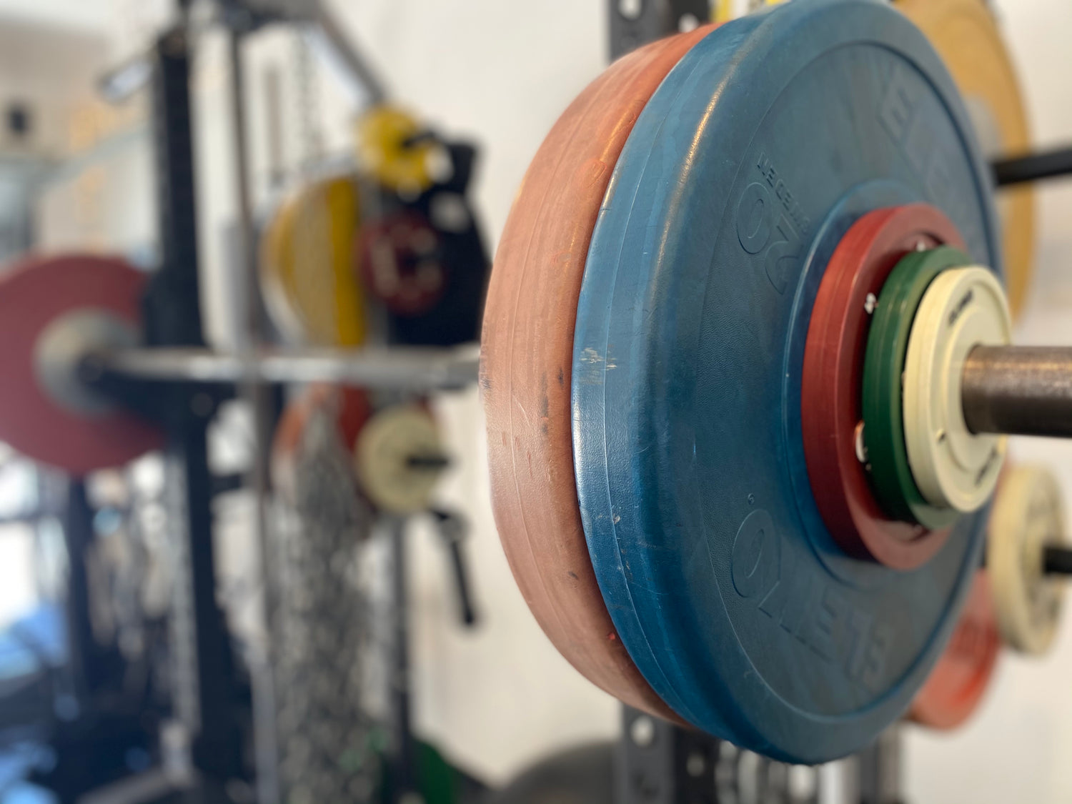FORTITUDE GYM – Fortitude Gym